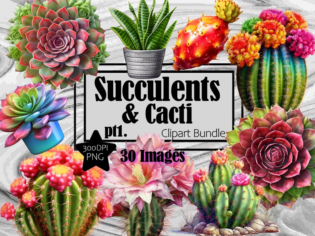 Cactus PNG Clipart Succulent Desert Plants Tumbleweed Graphics ...