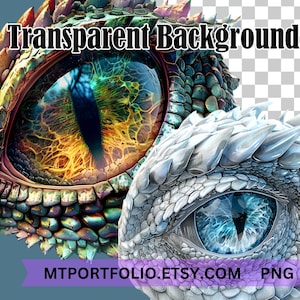 Dragon Eye Clipart Fantasy Dragon PNG Bundle Closeup Eye Graphics PNG ...
