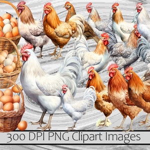 Watercolor Chicken Clipart Homestead Farm PNG Graphics Baby Chicks PNG ...
