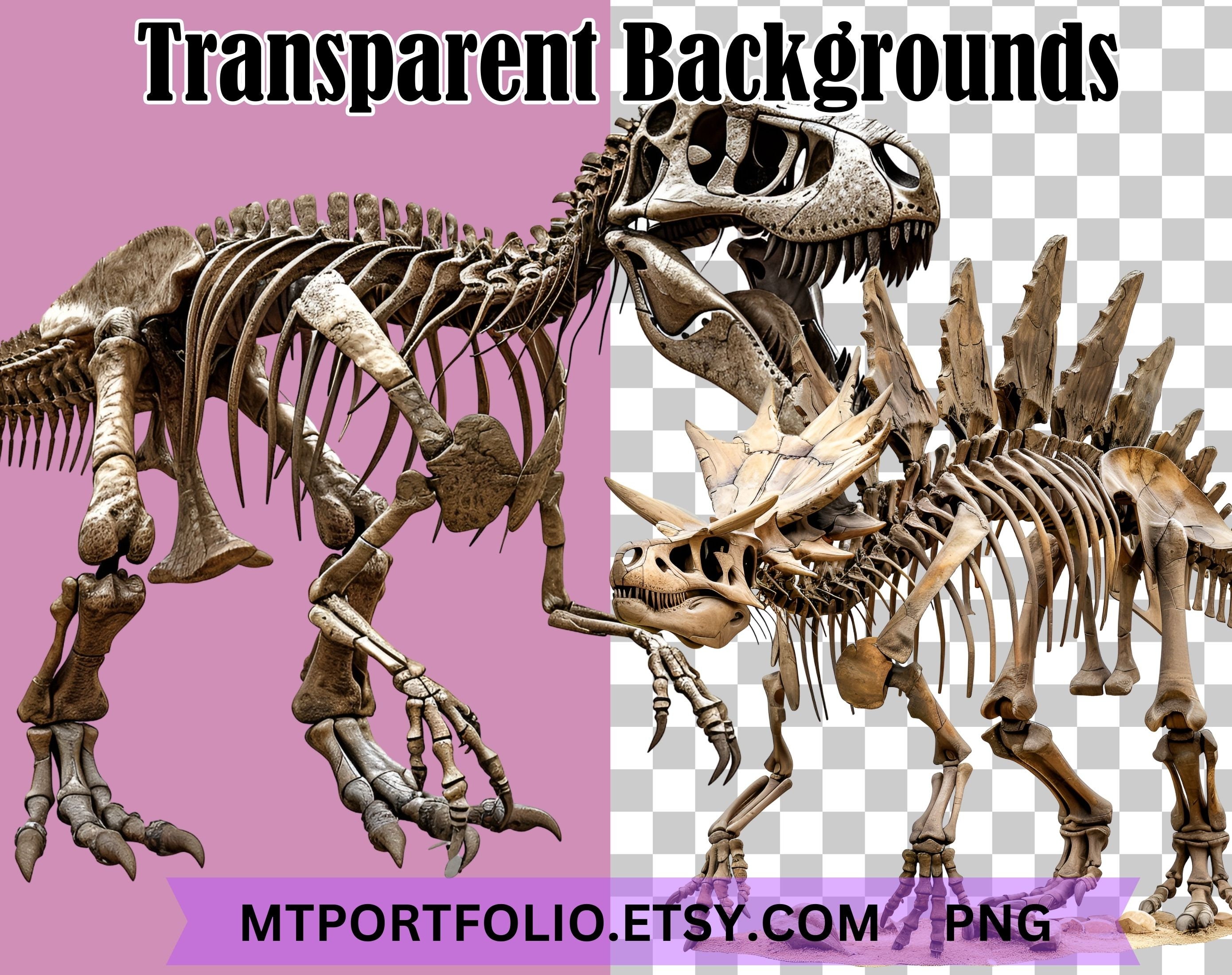 Dinosaur Fossil Clipart Skeleton PNG Graphic Dinosaur Bones Transparent ...