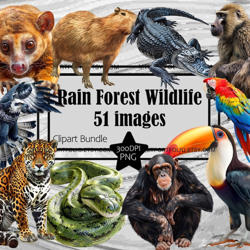 Rainforest Clip Art - Etsy