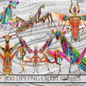 Praying Mantis Clipart Insect PNG Bundle PNG Graphics Transparent ...