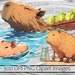Capybara Clipart Anime Capybara PNG Clipart Bundle Cute Cartoon ...