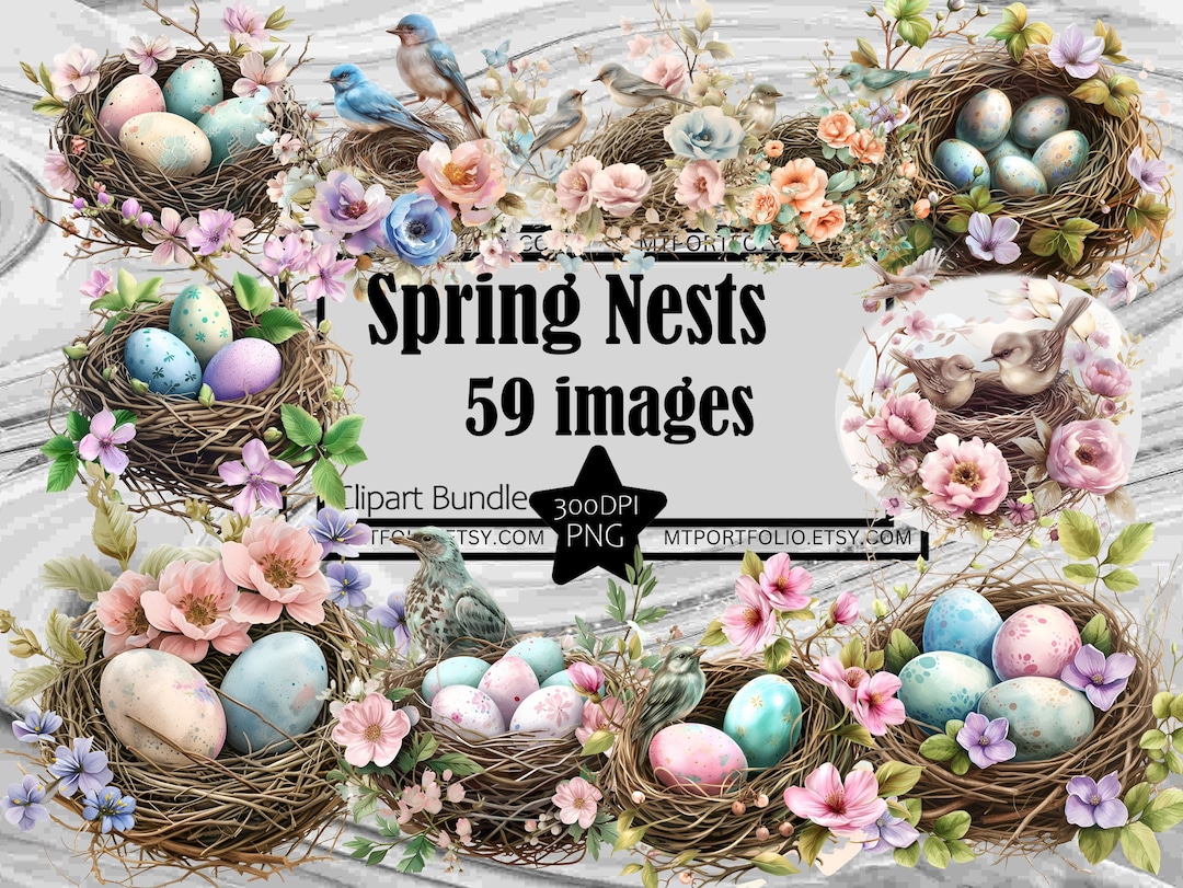 Spring Nests Clipart Vintage Robin Egg PNG Bird Nest Clipart Bundle ...