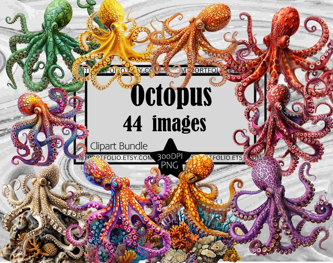 Octopus Clipart Rainbow Octopus Watercolor PNG Bundle PNG Graphics ...