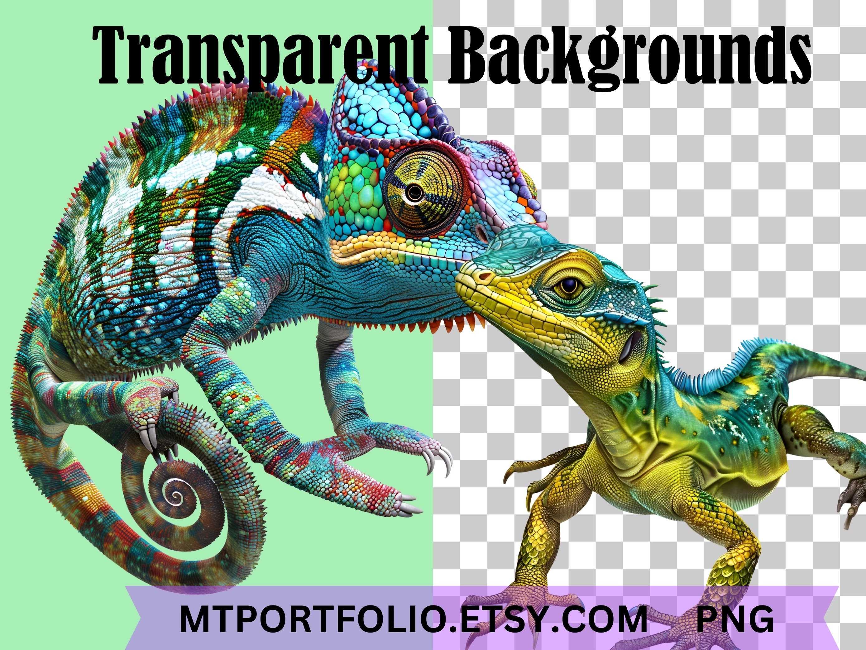 Reptile Clipart Lizard Gecko PNG Bundle PNG Graphics Transparent ...