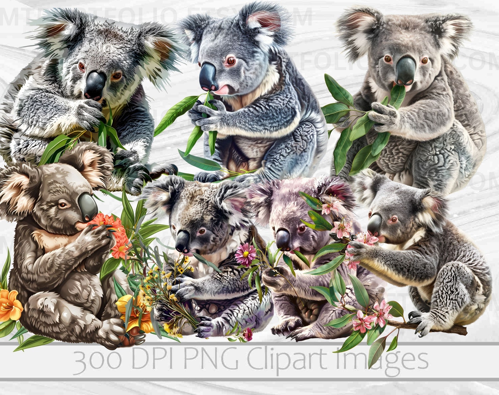 Koala Bear Clipart Marsupial PNG Digital Download Koalas PNG Clipart ...