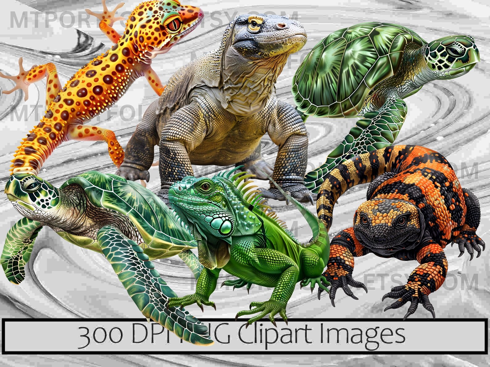 Reptile Clipart Lizard Gecko PNG Bundle PNG Graphics Transparent ...