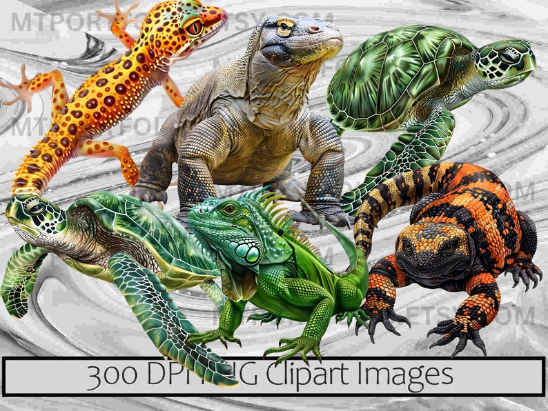 Reptile Clipart Lizard Gecko PNG Bundle PNG Graphics Transparent ...