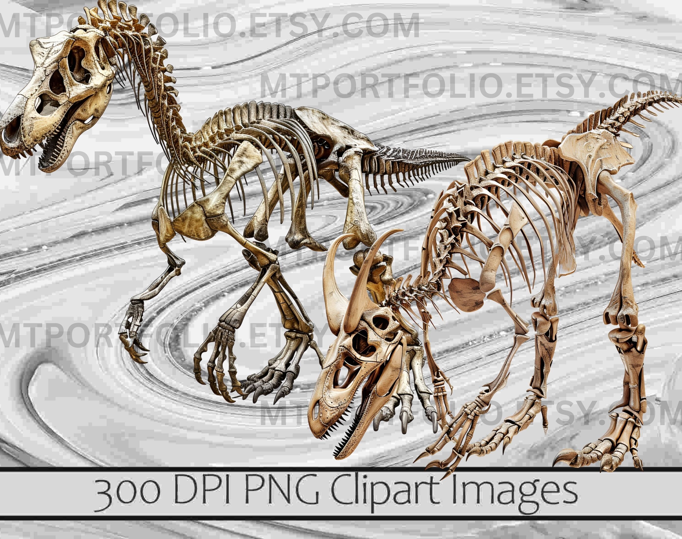 Dinosaur Fossil Clipart Skeleton PNG Graphic Dinosaur Bones Transparent ...