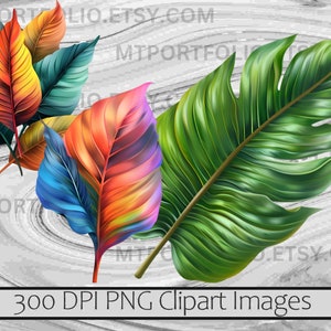 Tropical Leaf Clipart Tropical Rainforest Leaves Clip Art Palm Tree ...