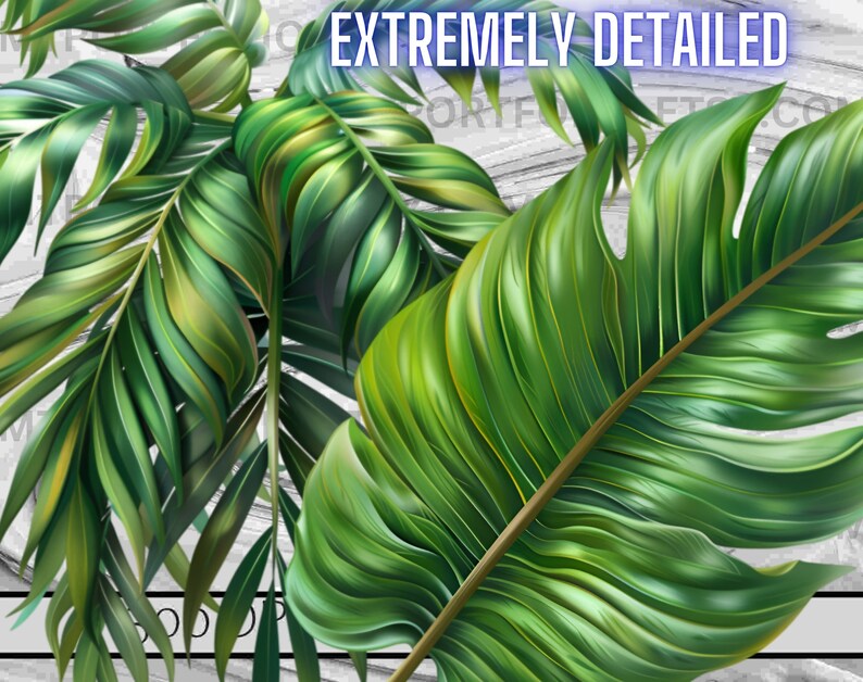 Tropical Leaf Clipart Tropical Rainforest Leaves Clip Art Palm Tree ...
