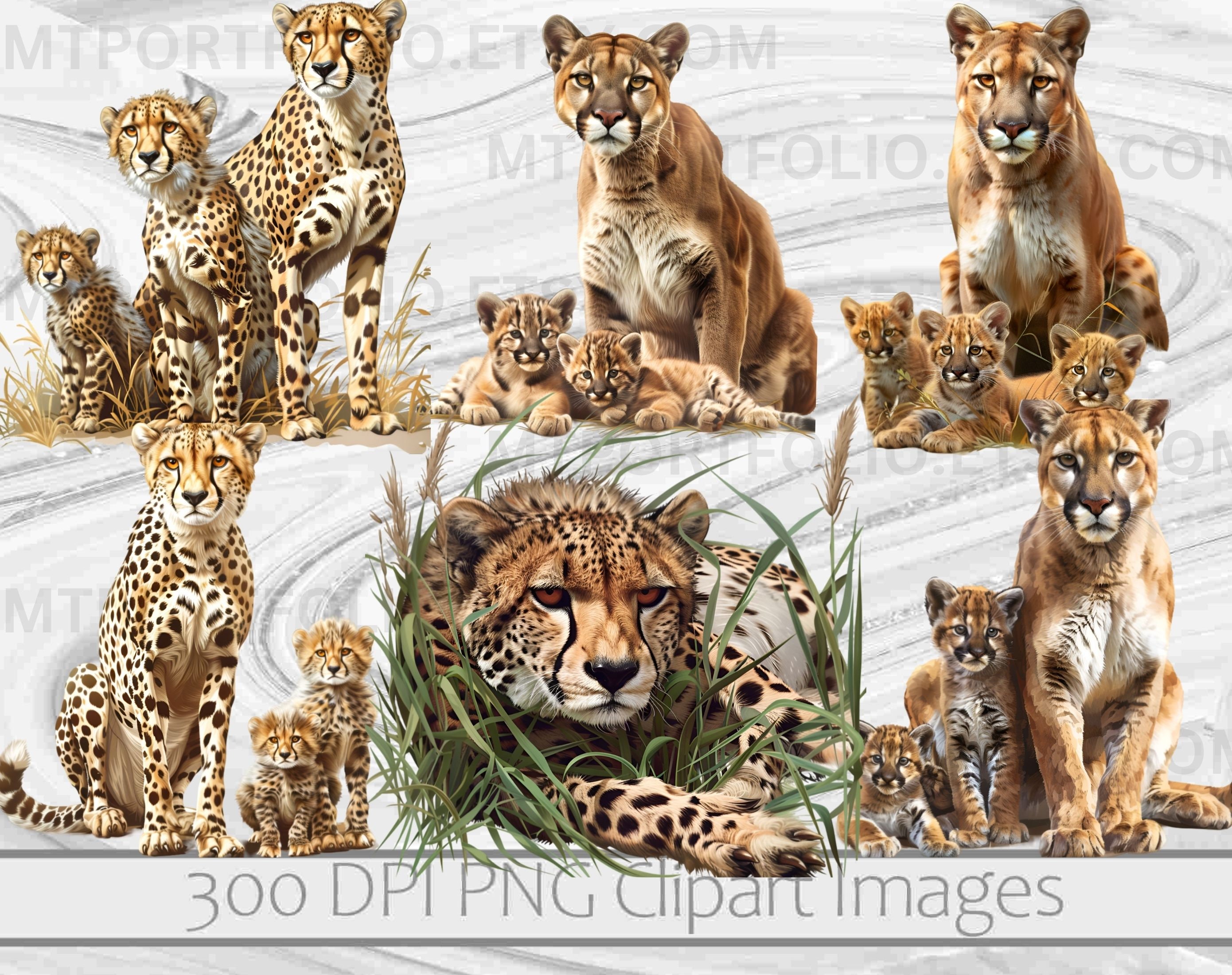 Big Cats Clipart Black Panther Graphics Cheetah Clipart Leopard PNG ...