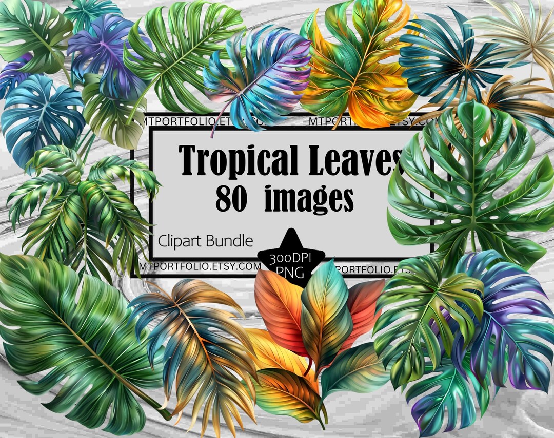 Tropical Leaf Clipart Tropical Rainforest Leaves Clip Art Palm Tree ...