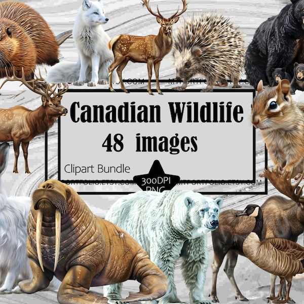 Canadian Wildlife - Etsy