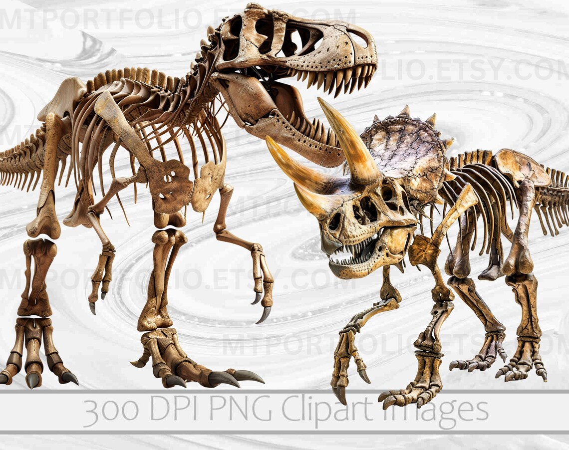 Dinosaur Fossil Clipart Skeleton PNG Graphic Dinosaur Bones Transparent ...