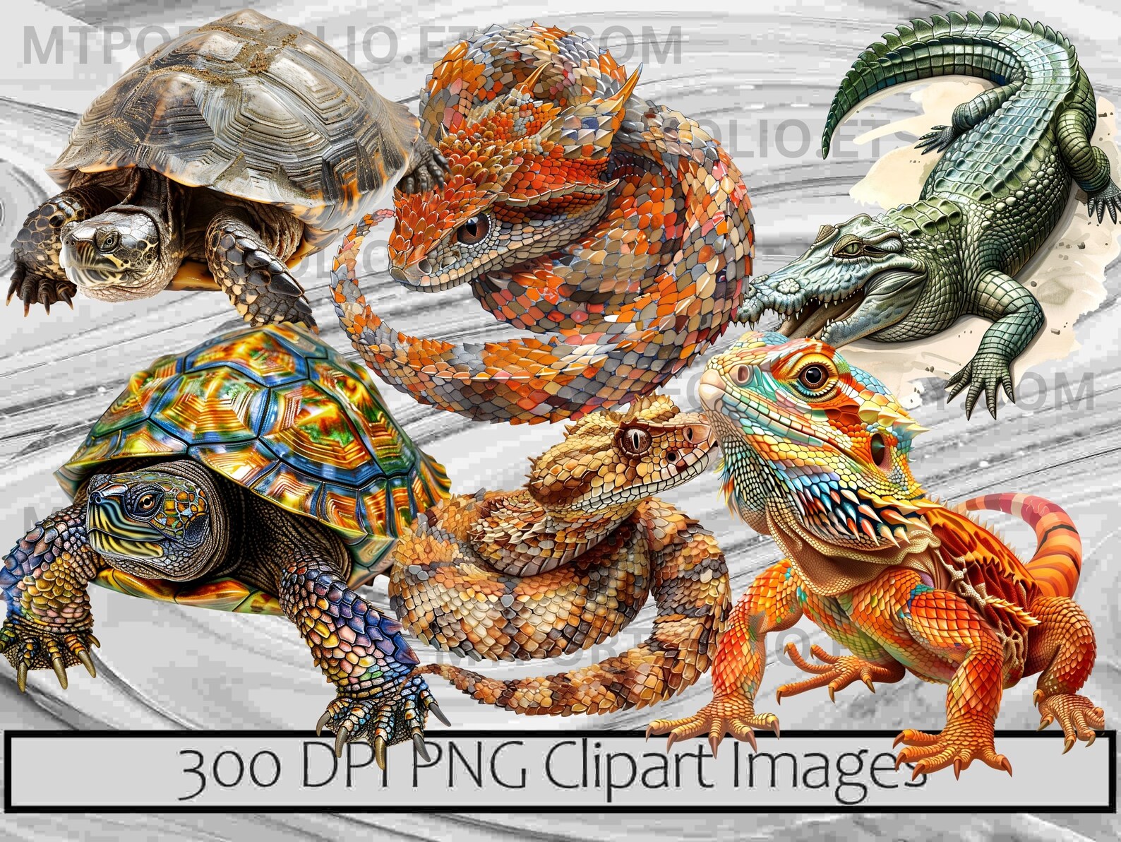 Reptile Clipart Lizard Gecko PNG Bundle PNG Graphics Transparent ...