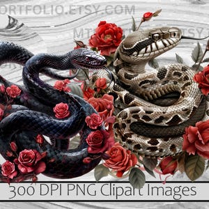 Snake and Roses Clipart PNG Bundle Boa Snake Graphic Transparent ...