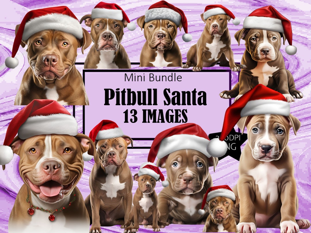 Pitbull Bully Breed Red Santa Hat Christmas Graphics Dog Mom Art ...