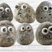 Pet Rock Clipart Retro 70's Toy PNG Googly Eyes Gag Gift Bundle PNG ...