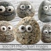 Pet Rock Clipart Retro 70's Toy PNG Googly Eyes Gag Gift Bundle PNG ...