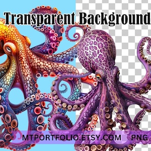 Octopus Clipart Rainbow Octopus Watercolor PNG Bundle PNG Graphics ...