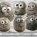 Pet Rock Clipart Retro 70's Toy PNG Googly Eyes Gag Gift Bundle PNG ...