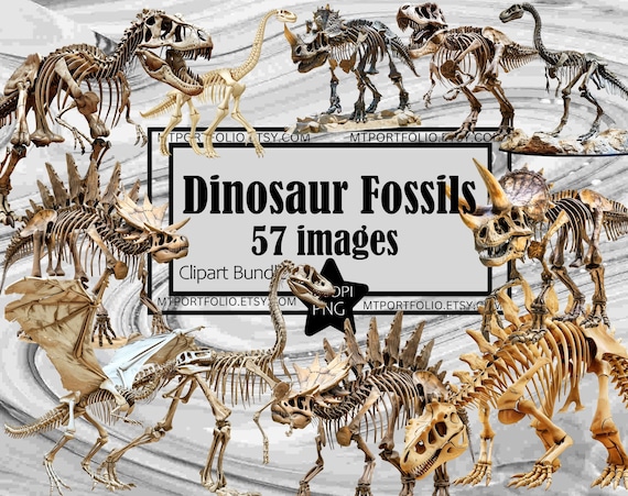 Dinosaur Bones Clip Copy