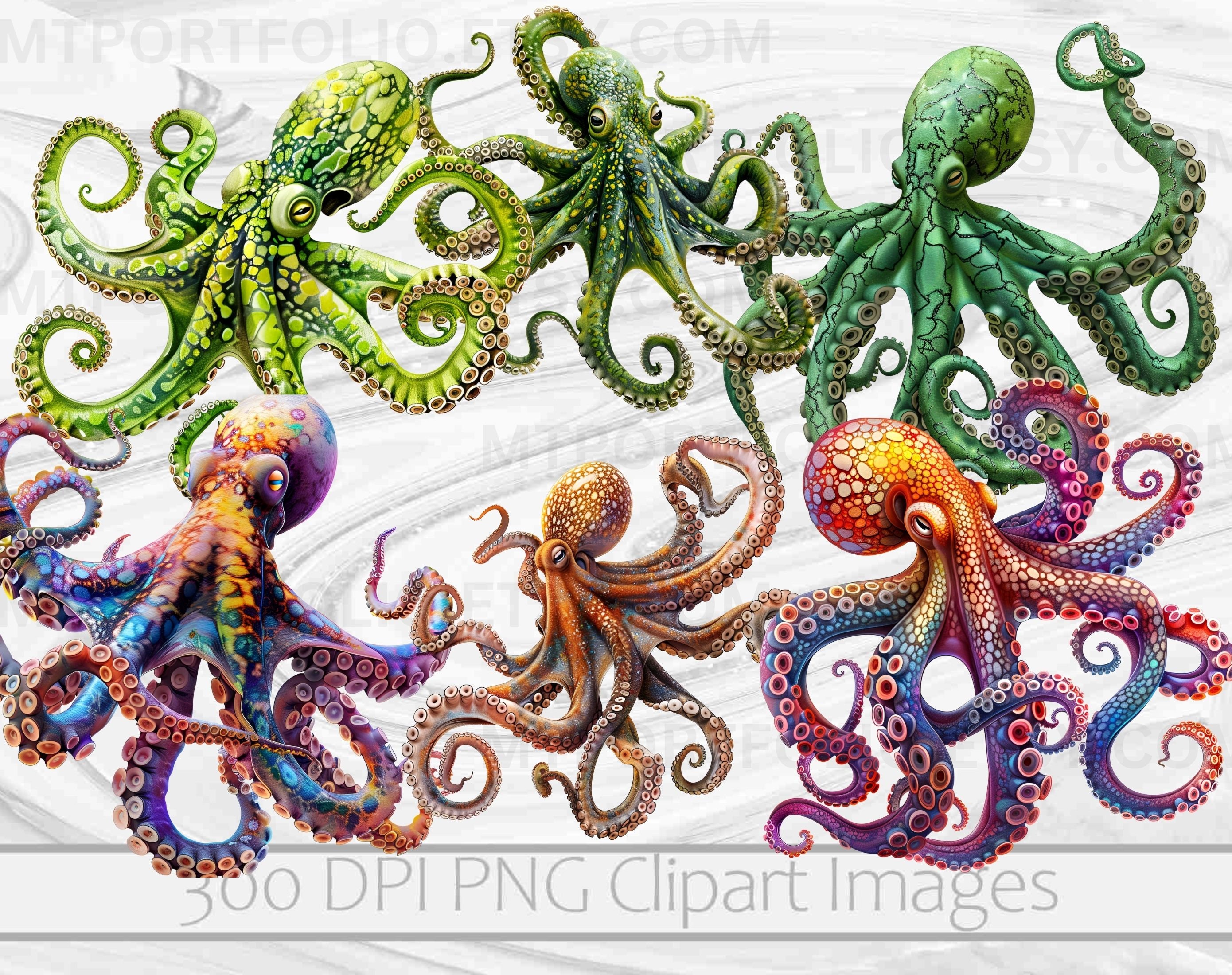 Octopus Clipart Rainbow Octopus Watercolor PNG Bundle PNG Graphics ...