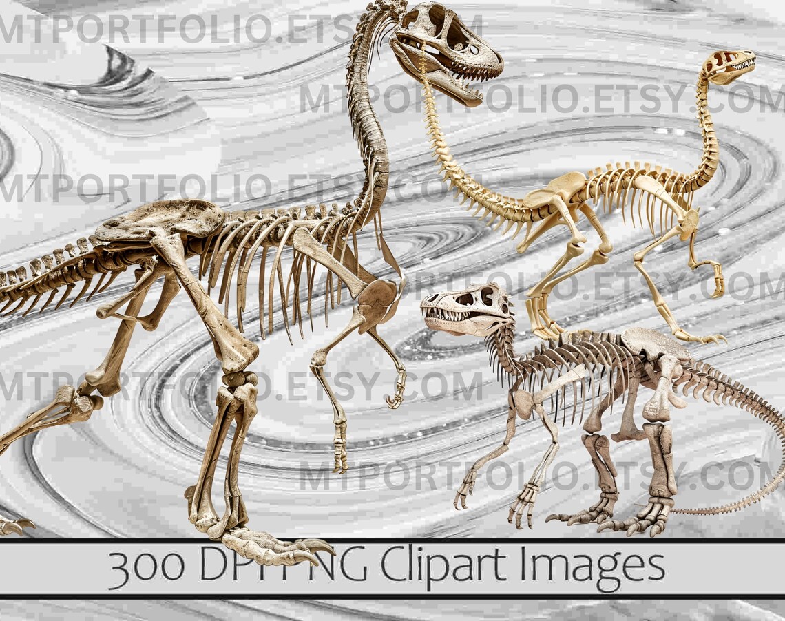 Dinosaur Fossil Clipart Skeleton PNG Graphic Dinosaur Bones Transparent ...