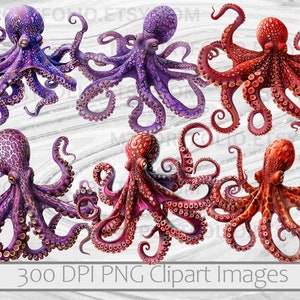 Octopus Clipart Rainbow Octopus Watercolor PNG Bundle PNG Graphics ...