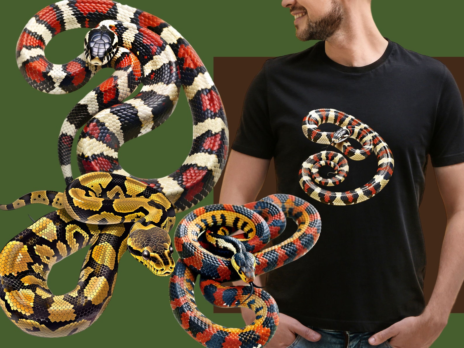 Snake Clipart Rattlesnake PNG Bundle Boa Graphics Transparent ...