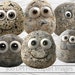 Pet Rock Clipart Retro 70's Toy PNG Googly Eyes Gag Gift Bundle PNG ...