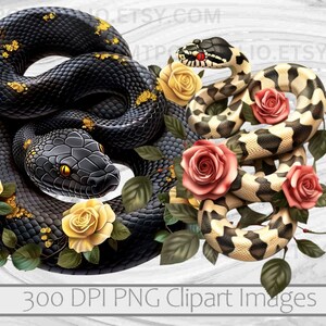 Snake and Roses Clipart PNG Bundle Boa Snake Graphic Transparent ...