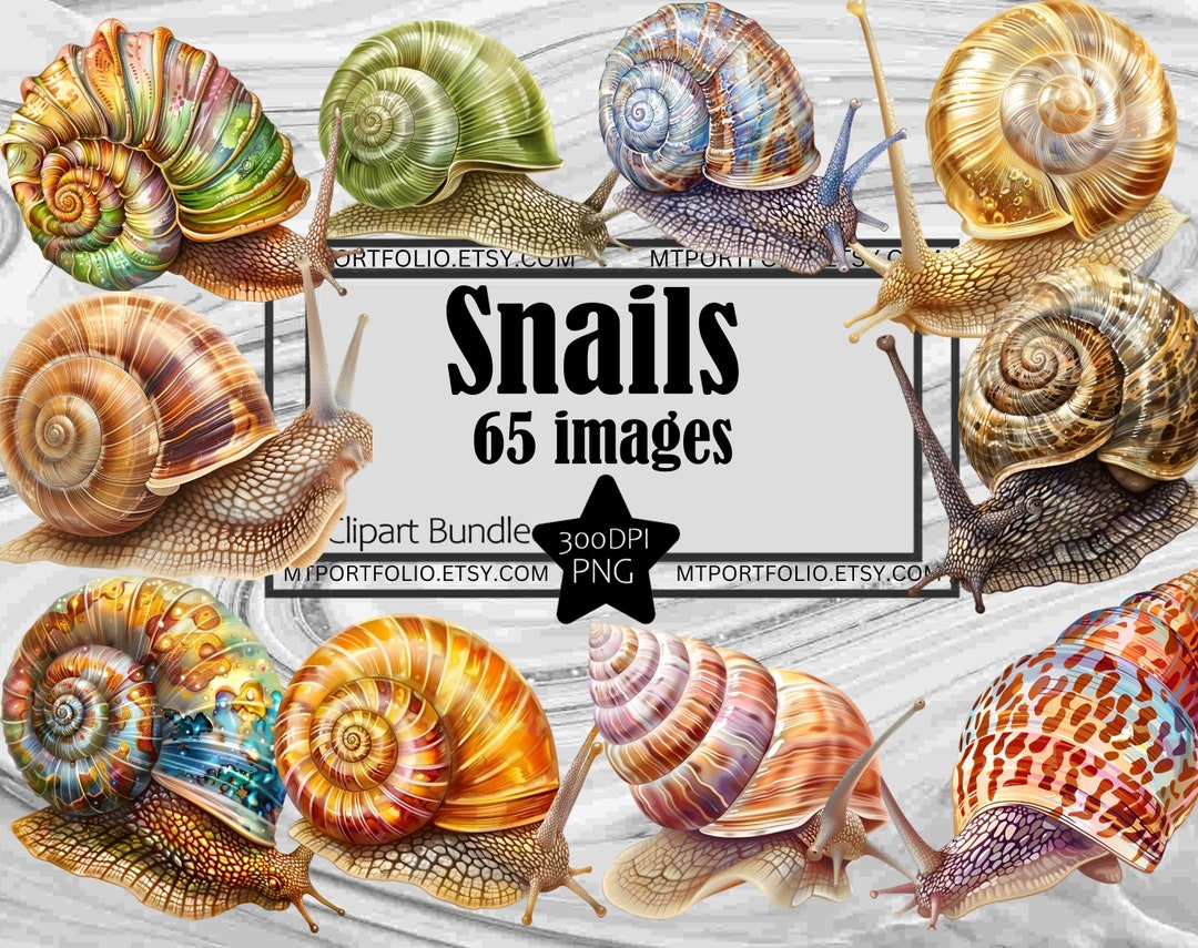 Snails Clipart Rainbow Snail PNG Bundle Snail Shell Graphics PNG Bright ...