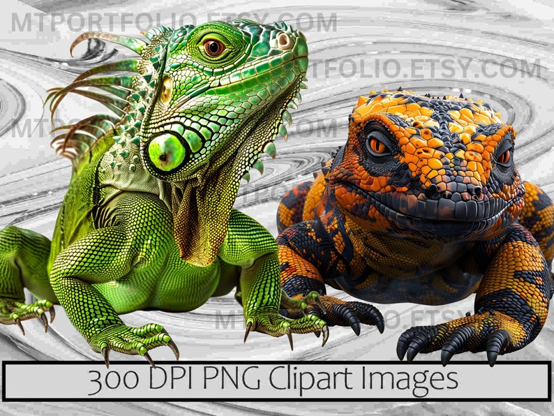 Reptile Clipart Lizard Gecko PNG Bundle PNG Graphics Transparent ...