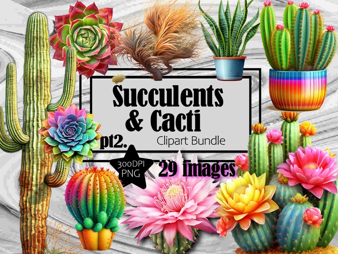 Cactus and Succulents PNG Clipart Saguaro Snake Plant Graphic ...