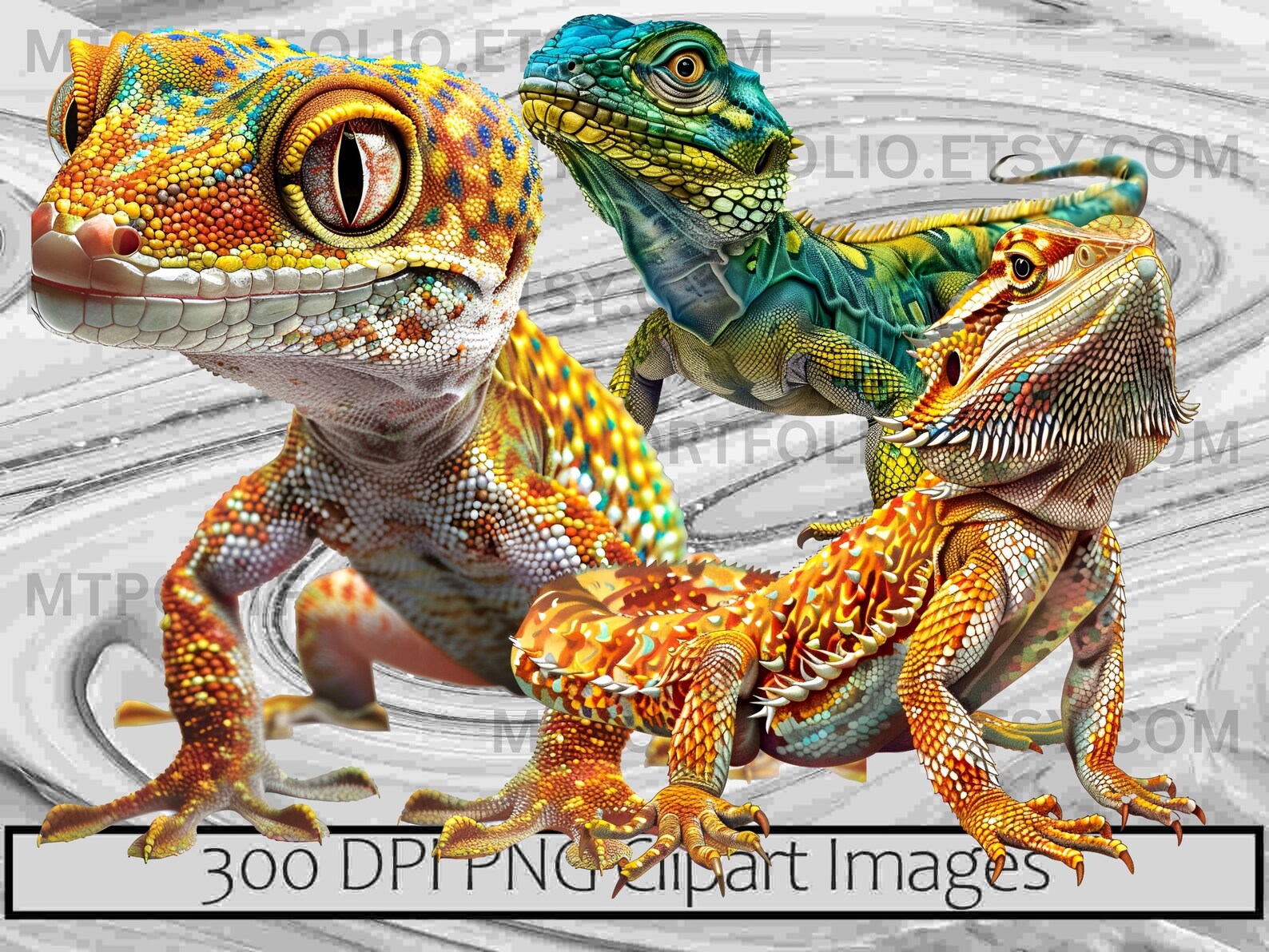 Reptile Clipart Lizard Gecko PNG Bundle PNG Graphics Transparent ...