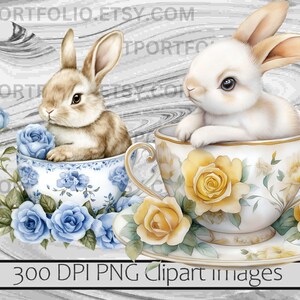 Teacup Bunny Clipart Vintage Floral Easter Rustic Cottagecore PNG ...