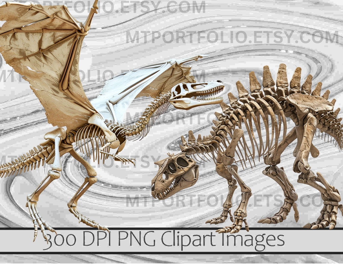 Dinosaur Fossil Clipart Skeleton PNG Graphic Dinosaur Bones Transparent ...