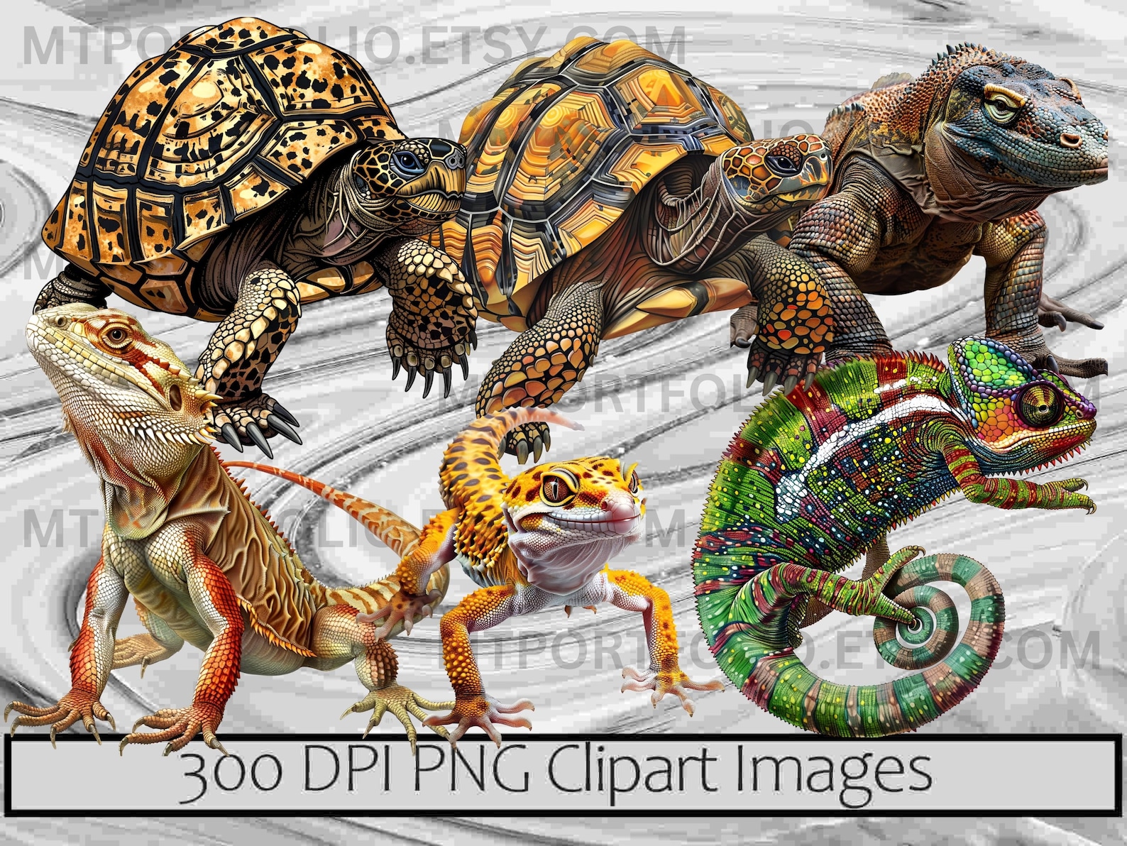 Reptile Clipart Lizard Gecko PNG Bundle PNG Graphics Transparent ...