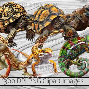 Reptile Clipart Lizard Gecko PNG Bundle PNG Graphics Transparent ...
