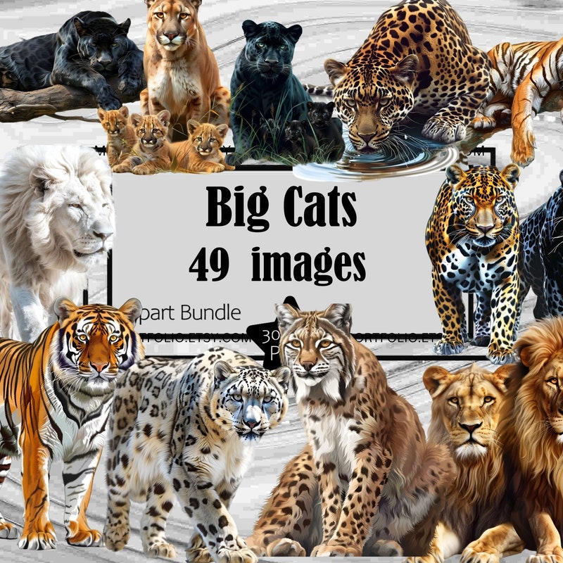 Big Cat - Etsy