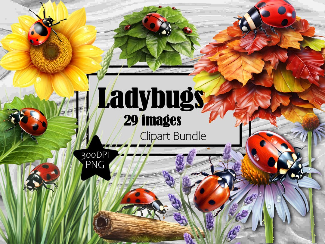 Ladybugs Flowers Nature Gardening Flora Fauna - Graphics Transparent ...