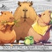 Capybara Clipart Anime Capybara PNG Clipart Bundle Cute Cartoon ...