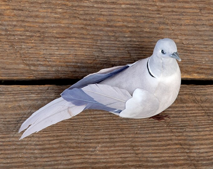 Barn Dove, Small Faux Bird, a Feathered Friend for Your Farmhouse Decor ...