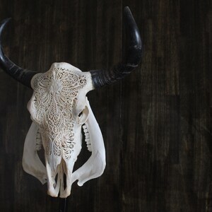 Hand Carved Bull Skull With Horns Cow Skull Perfectly Clean, Real Bone ...