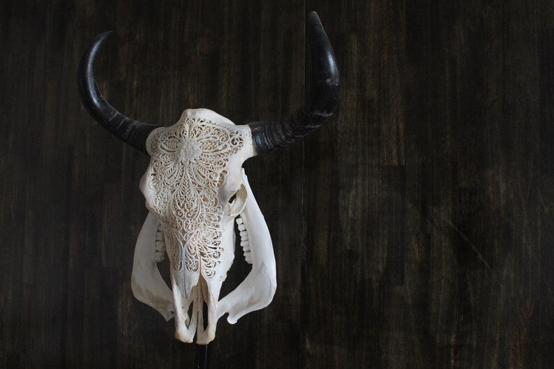 Hand Carved Bull Skull With Horns Cow Skull Perfectly Clean, Real Bone ...