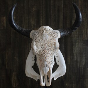 Hand Carved Bull Skull With Horns Cow Skull Perfectly Clean, Real Bone ...