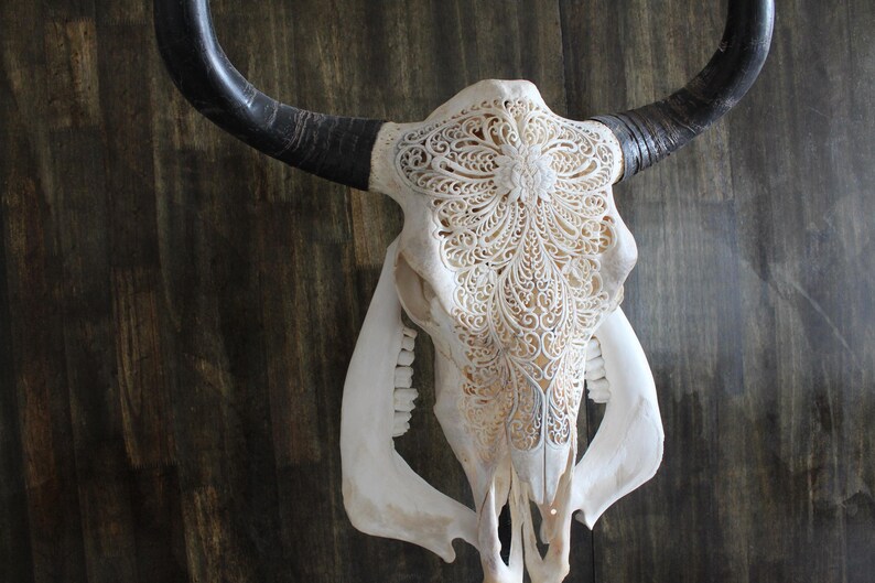 Hand Carved Bull Skull With Horns Cow Skull Perfectly Clean, Real Bone ...